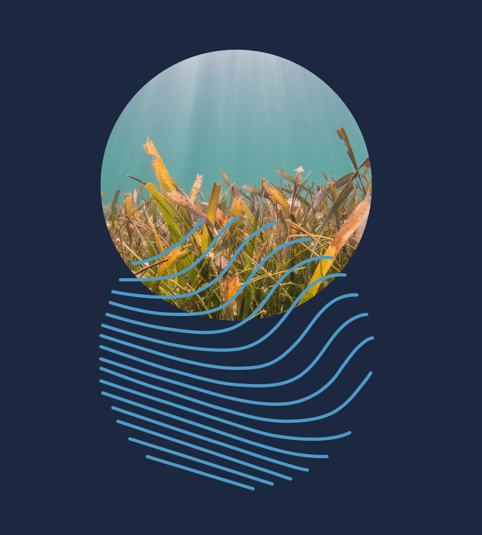 Context – OceanBlocks – ESG and ESV Sustainability Initiatives