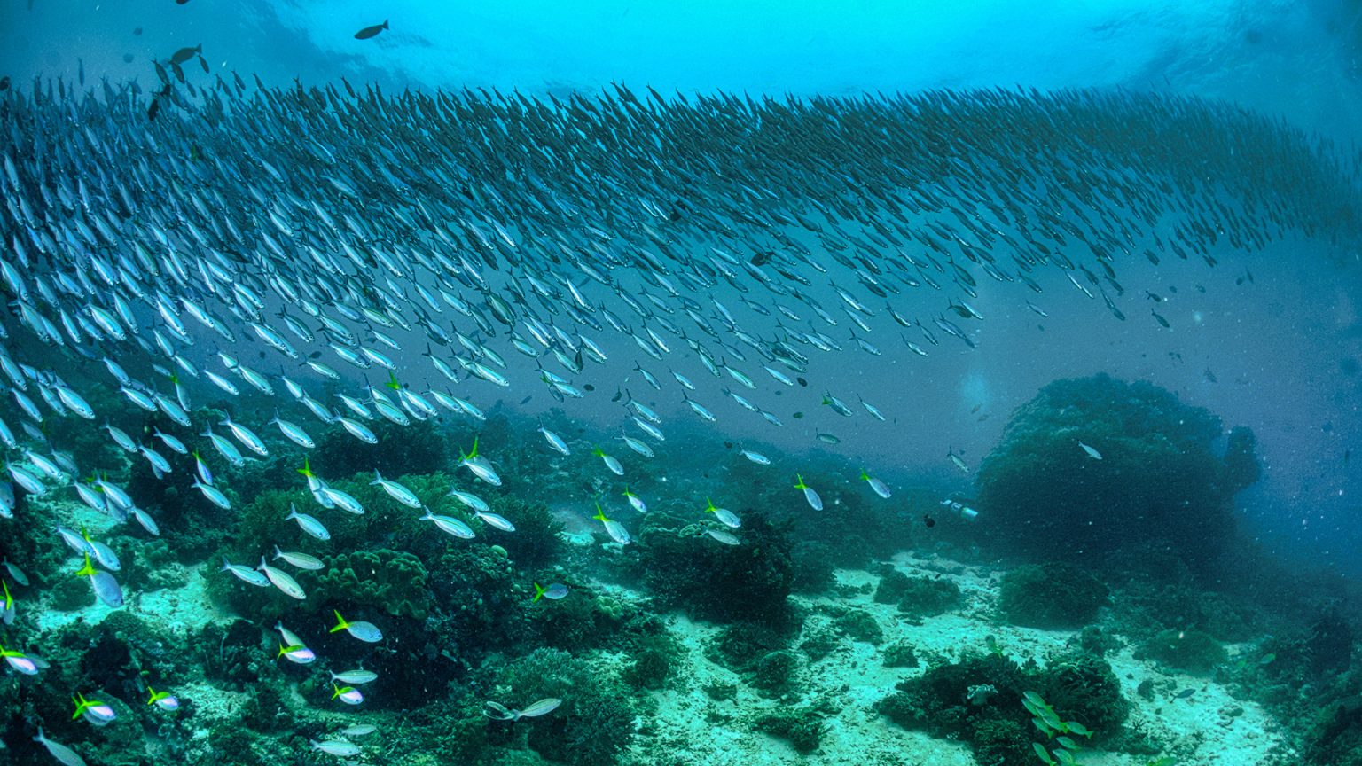 Marine Sustainability – OceanBlocks – ESG and ESV Sustainability ...